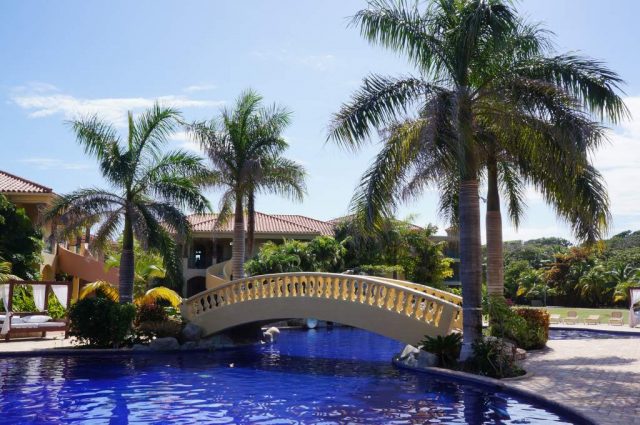 Roatan Cruise Excursions | parrottree